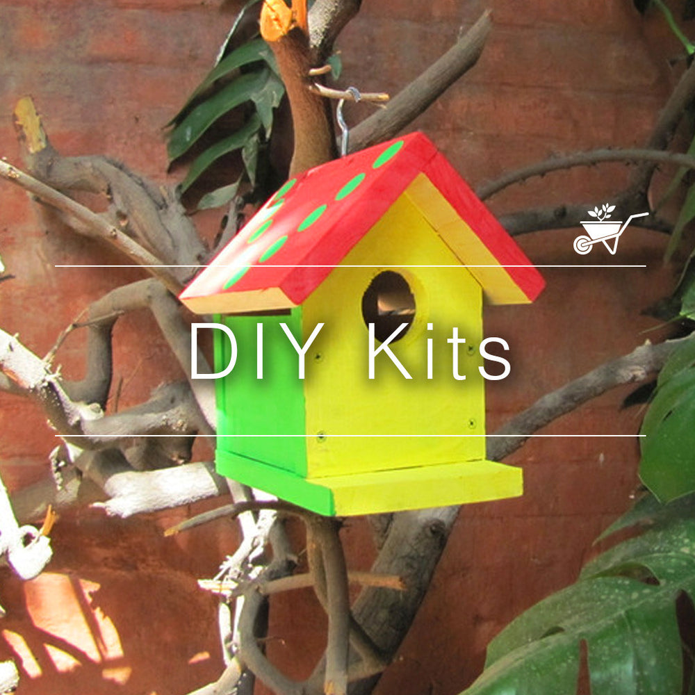 DIY Kits
