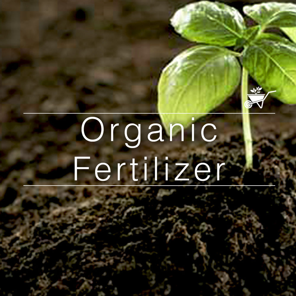 Buy Organic Fertilizers Online - MyBageecha