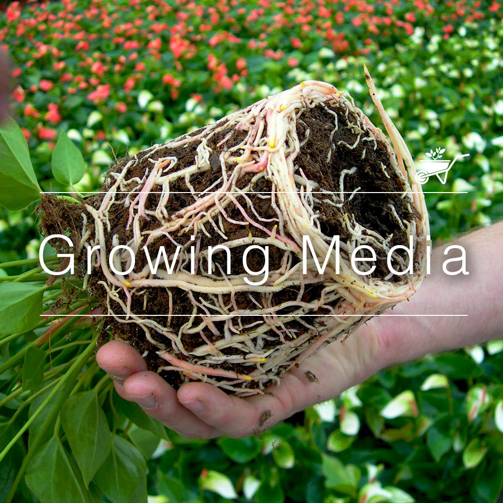 Buy Growing Media Online: Premium Selection | MyBageecha