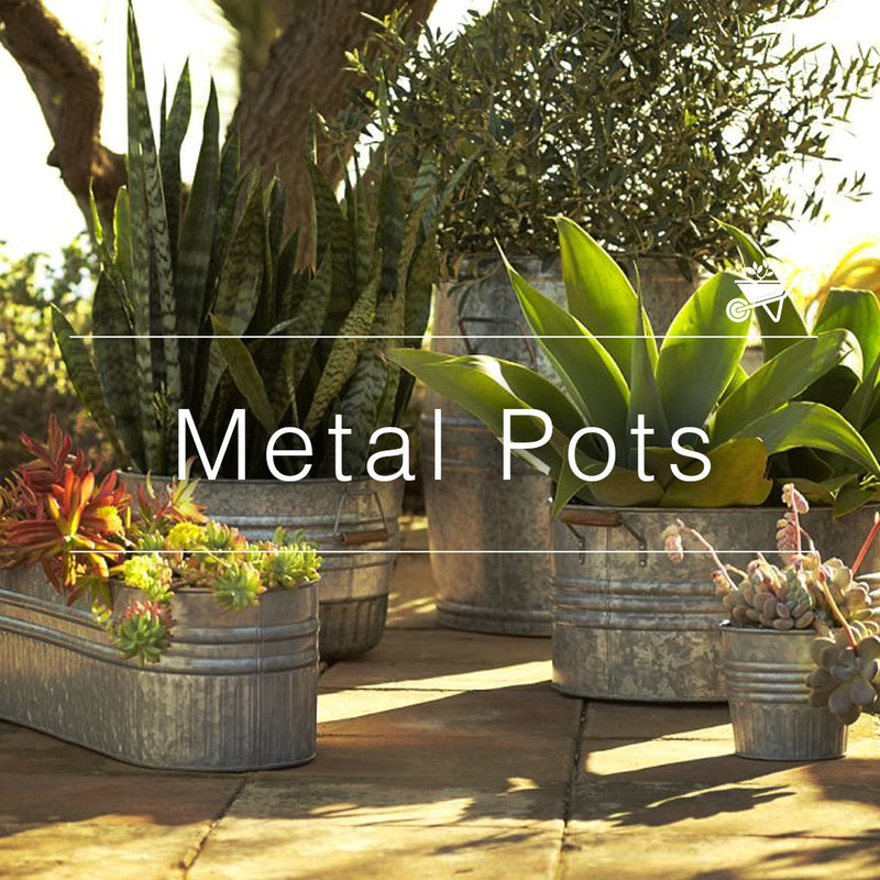 Buy Colourful Metal Decorative Pots - MyBageecha