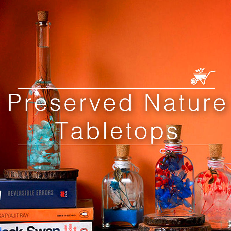 Buy Preserved Flower Tabletops Online in India | My Bageecha