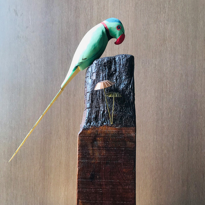 Exotic Indian Parakeet Wooden Base Table Tops – myBageecha