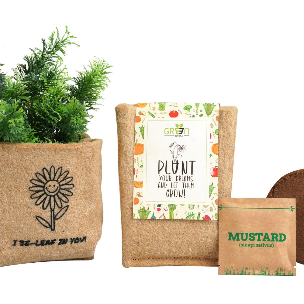 DIY Plant Grow Kit – Eco‑Friendly Gardening for Homes & Offices