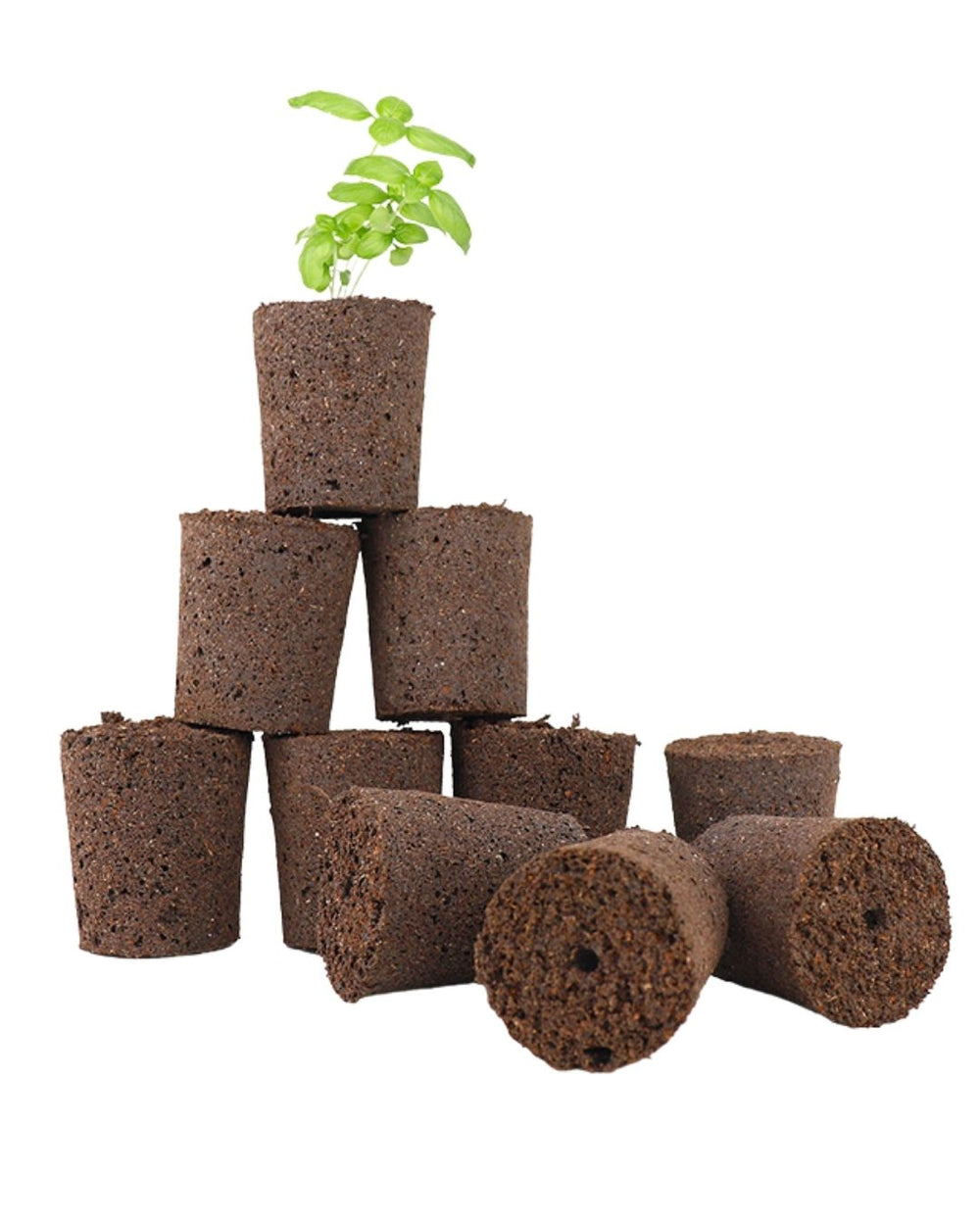 Planter Smart Soil and Seeds set