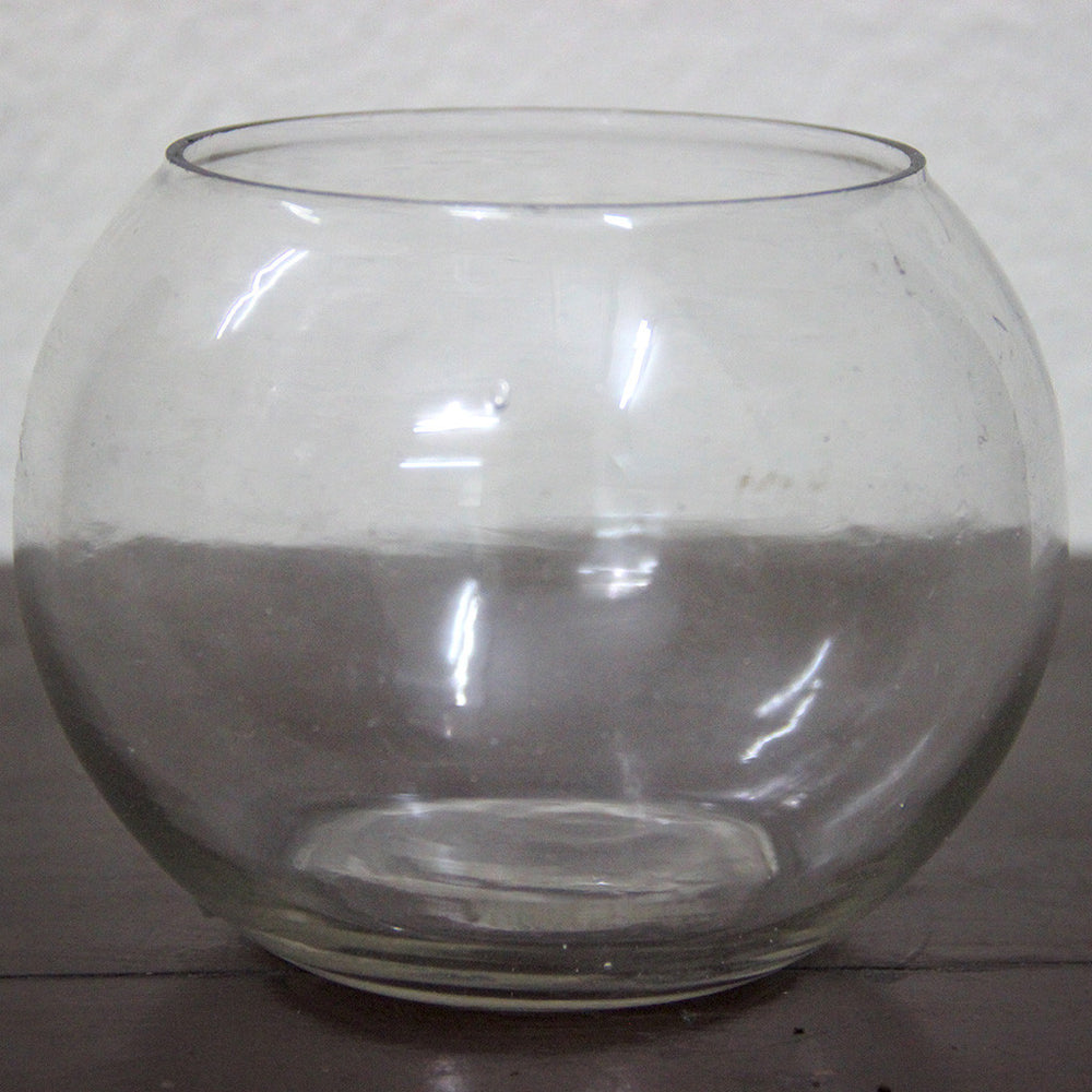 Buy Glass Pots Online: Terrariums, Planters & More | MyBageecha
