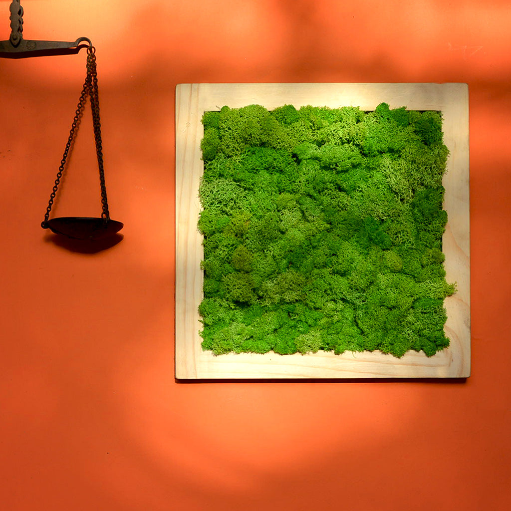 Classic Green Preserved Moss Frame with Light Wood