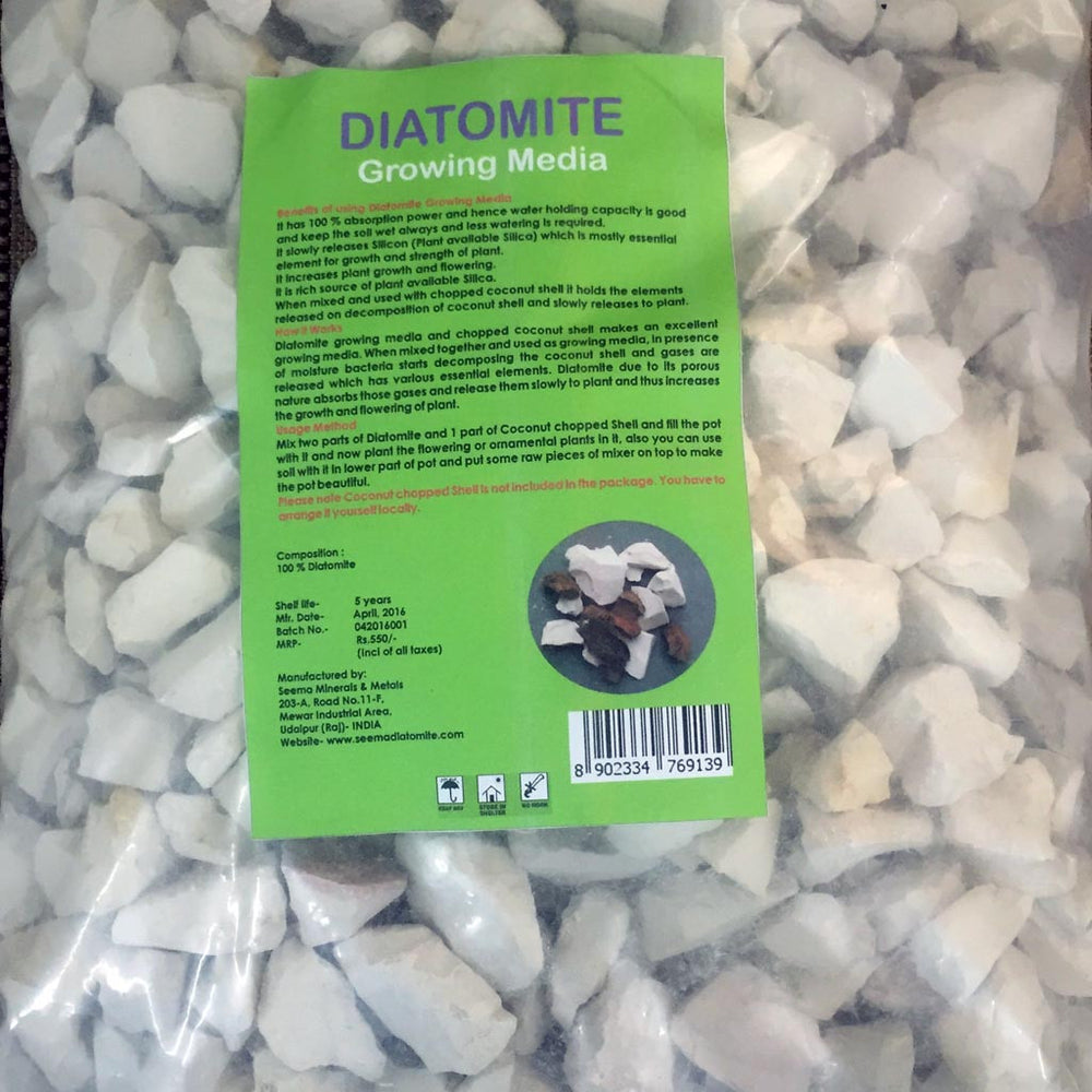 Buy Diatomite Rocks – Decorative Drainage Layer
