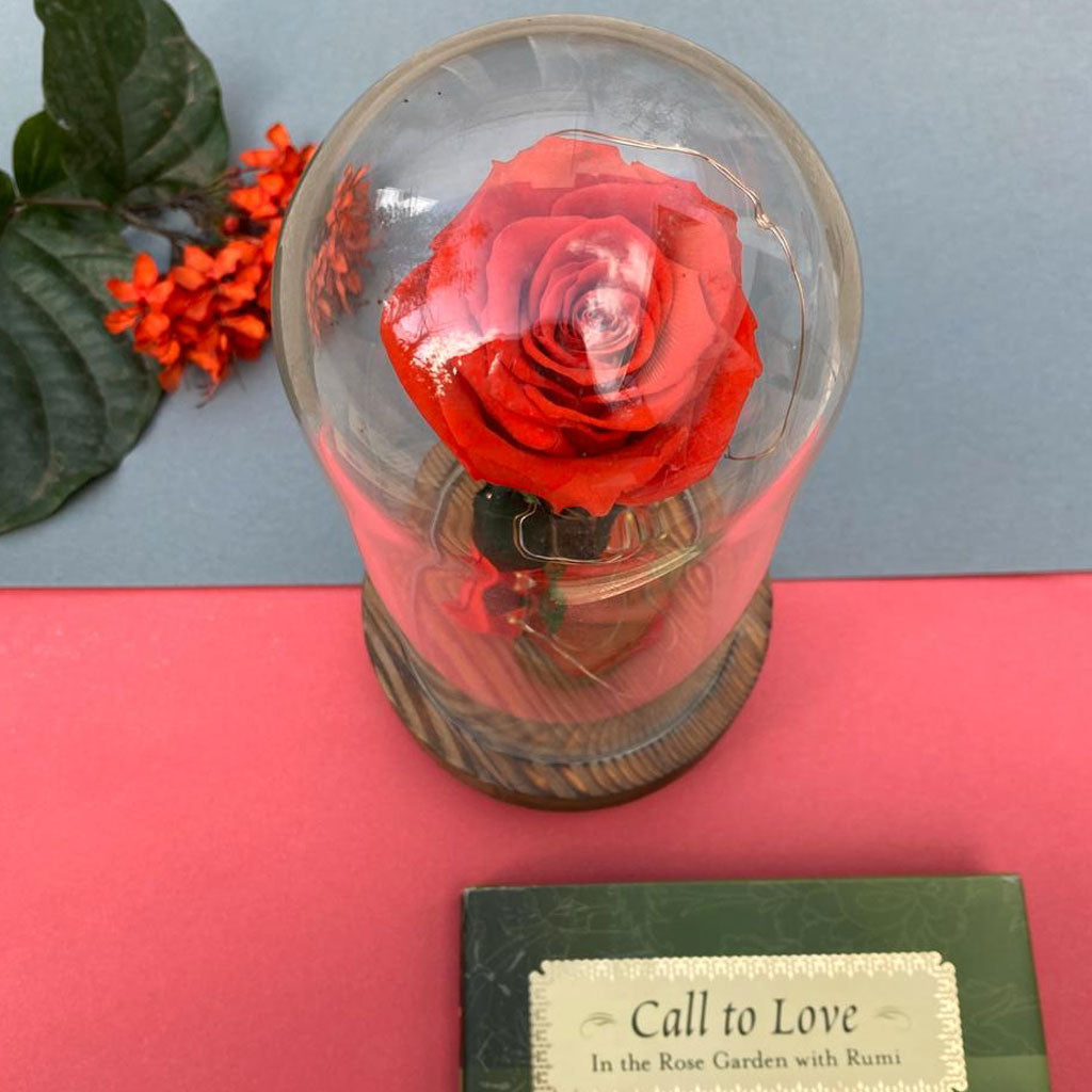 Long Lasting Preserved Roses Online India | Forever Lasts Roses ...