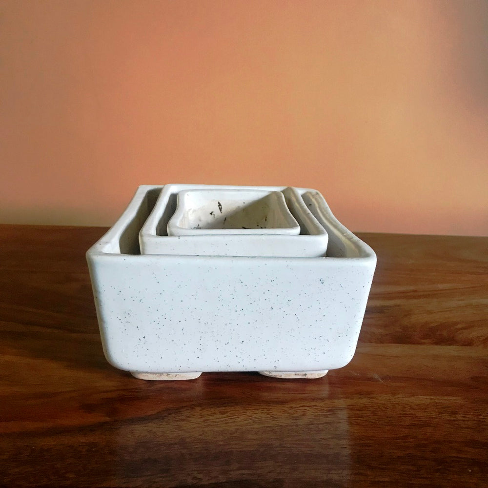 Rectangular Bonsai Tray Set – Classic Bonsai Styling