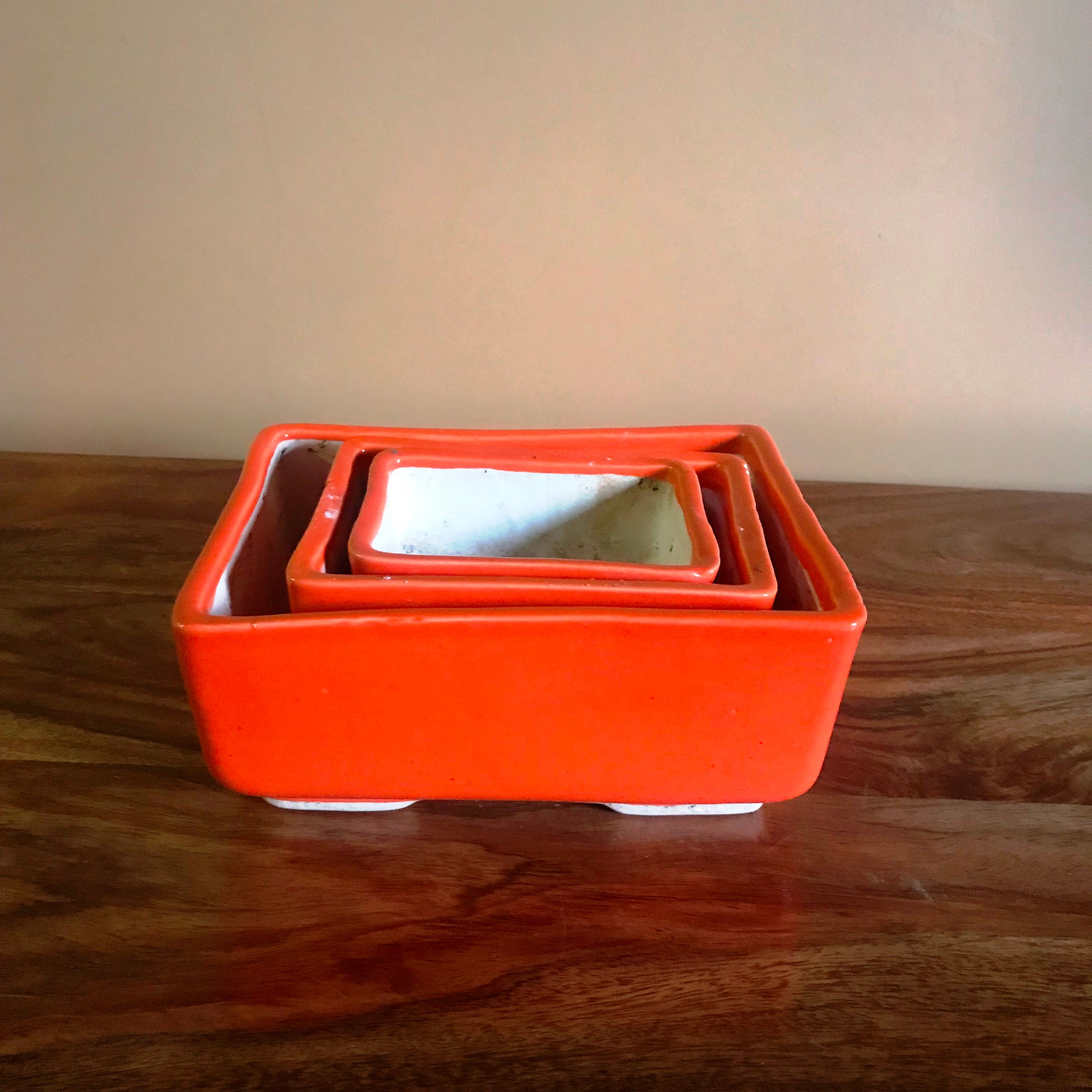 Rectangular Bonsai Tray Set – Classic Bonsai Styling