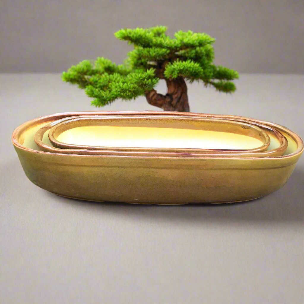 Chiselled Bonsai Tray Set of 3 – Premium Craftsmanship