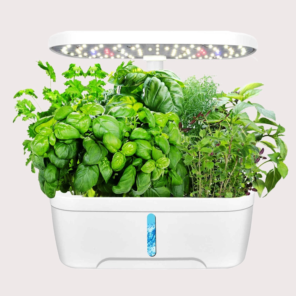 Smart Garden - Indoor Hydroponic Growing Kit - 6 Pods