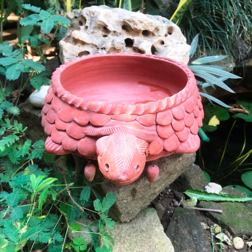 Terracotta Tortoise Planter