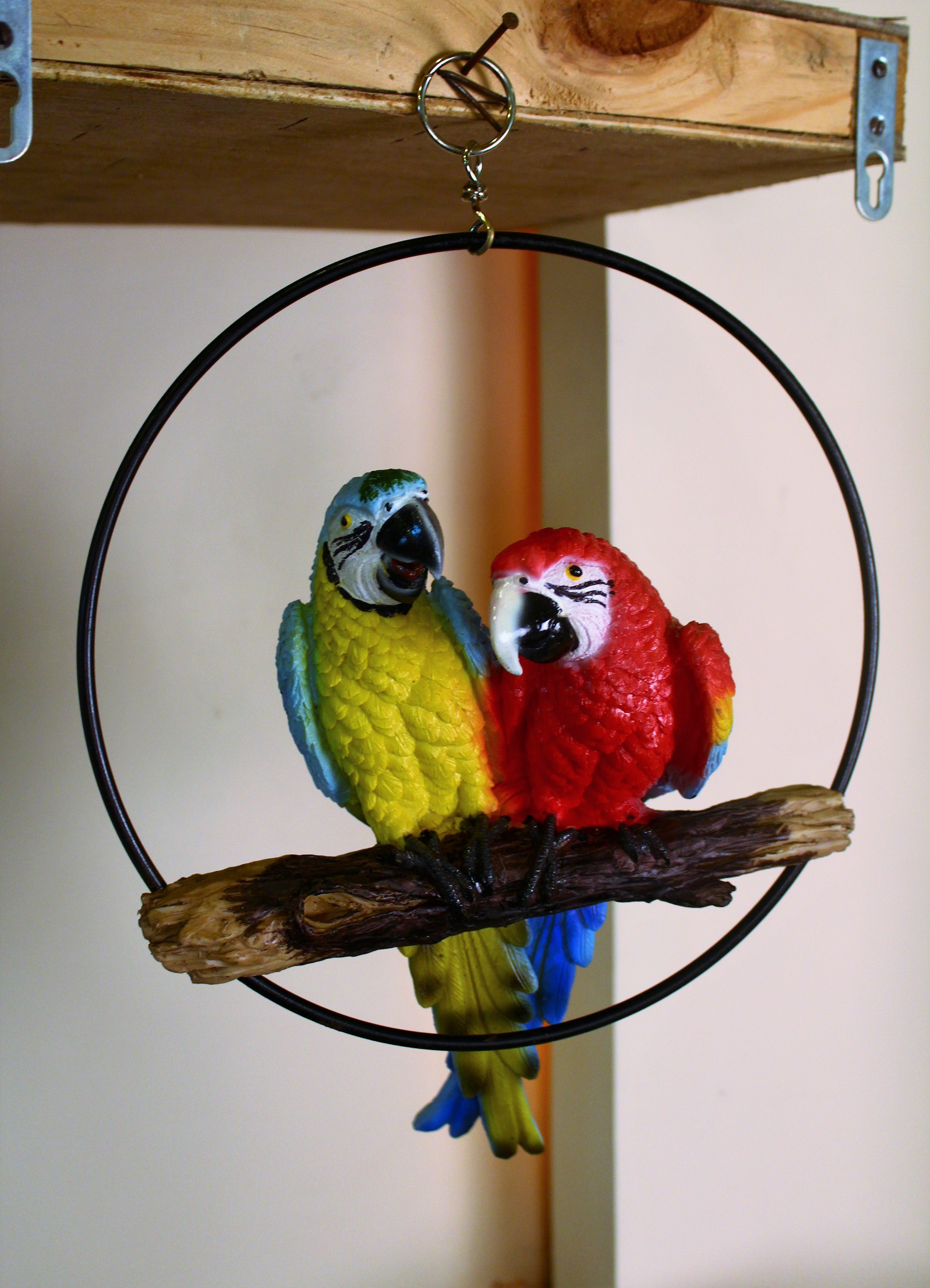 Two Parrot in Ring for hanging