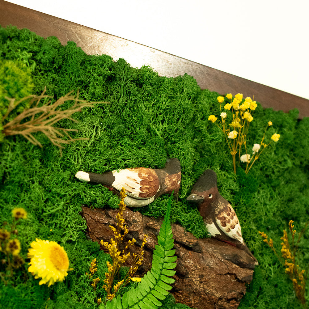 Bulbul's Call Preserved Moss Frame with Dark Wood