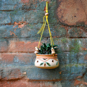 Buy Hanging Pots Online: Stylish & Functional | MyBageecha
