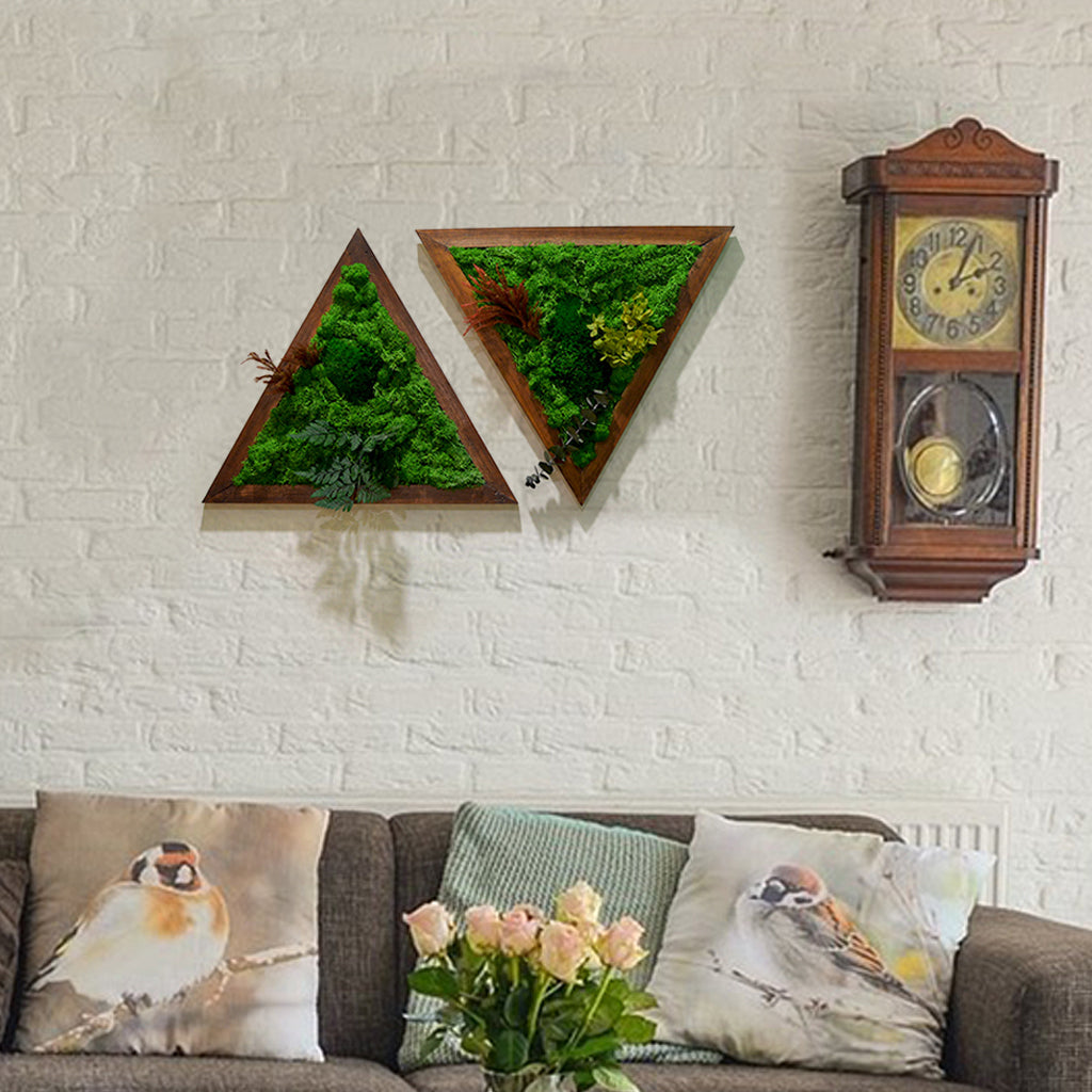 Like A Diamond Preserved Moss Frame with Dark Wood