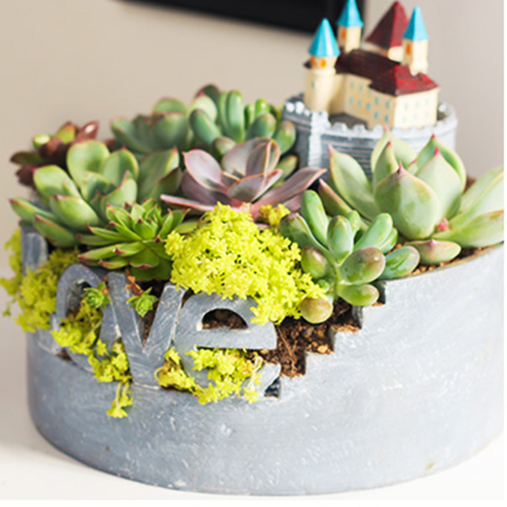 Love for Nature Resin Succulent Pot